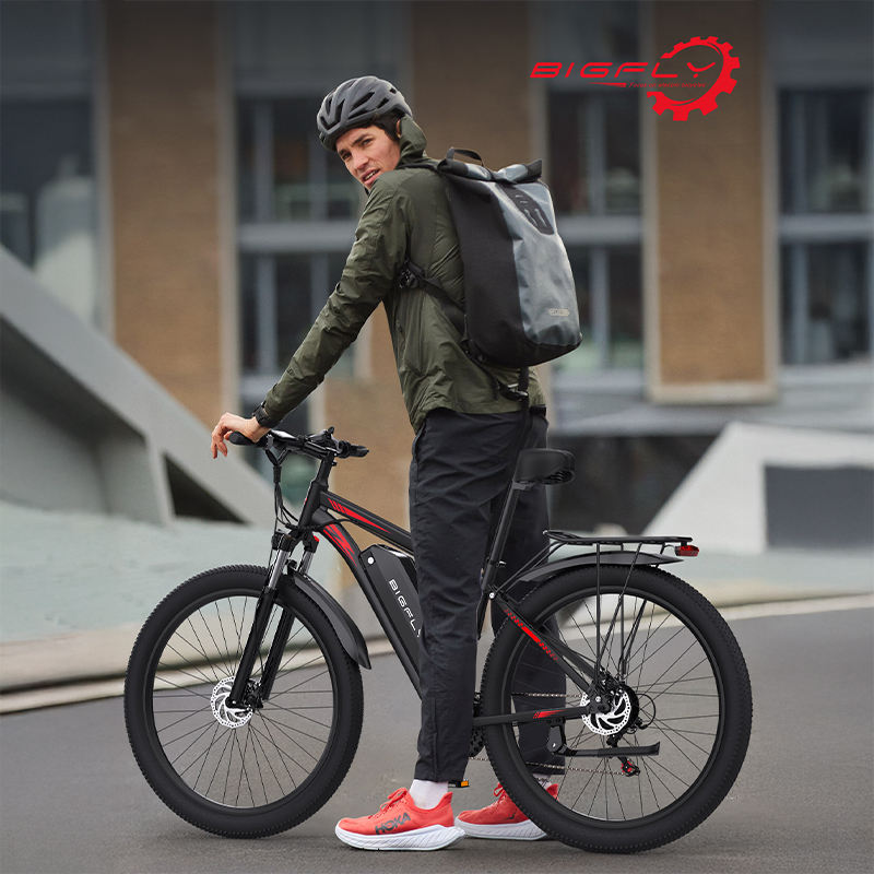 How to Choose a High Quality Electric Cycle: Expert Buying Guide