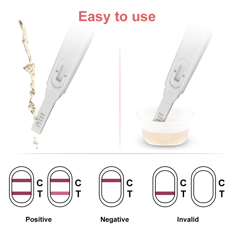Pregnant Pregnancy Test - Accurate Early Detection - 3-5 Min Results