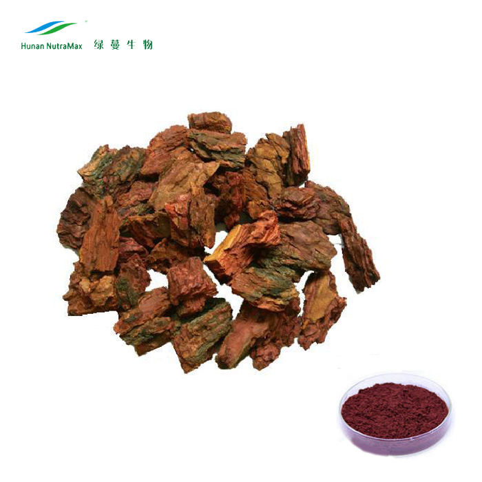 Natural 95% Procyanidin Pine Bark Extract French Pine Bark Extract ...