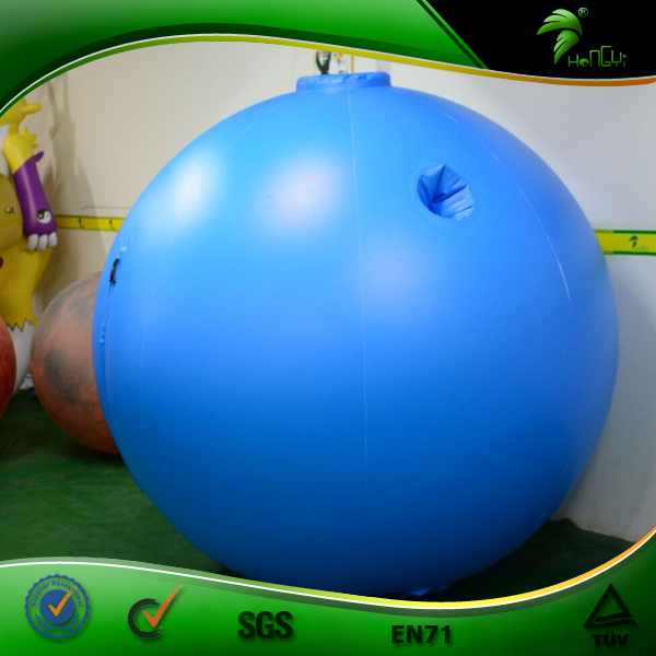 Inflatable Blueberry Suits - Waterproof Fun Costume