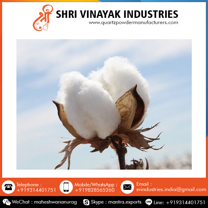 Raw Cotton - 100% Organic Eco-Friendly Breathable