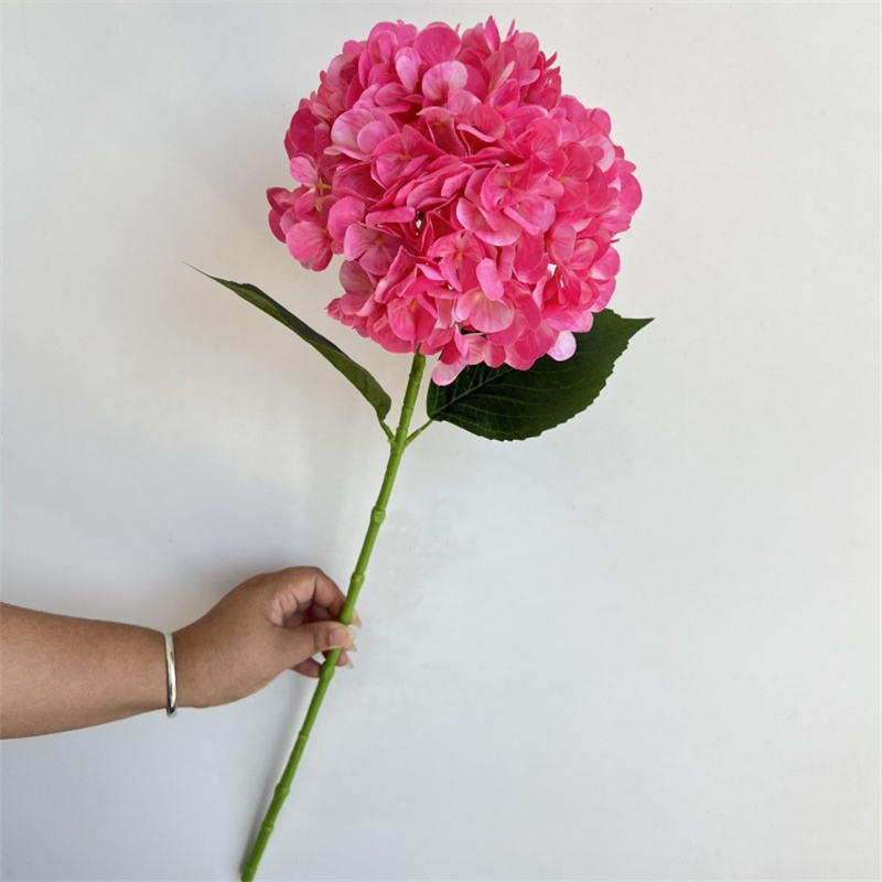 How to Choose Hydrangeas 216 Petals: Ultimate Buying Guide