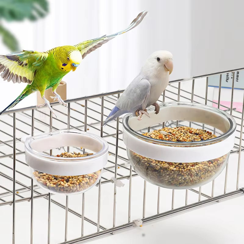 ABS Plastic Eco-Friendly Round Bird Parrot Transparent All Seasons ...