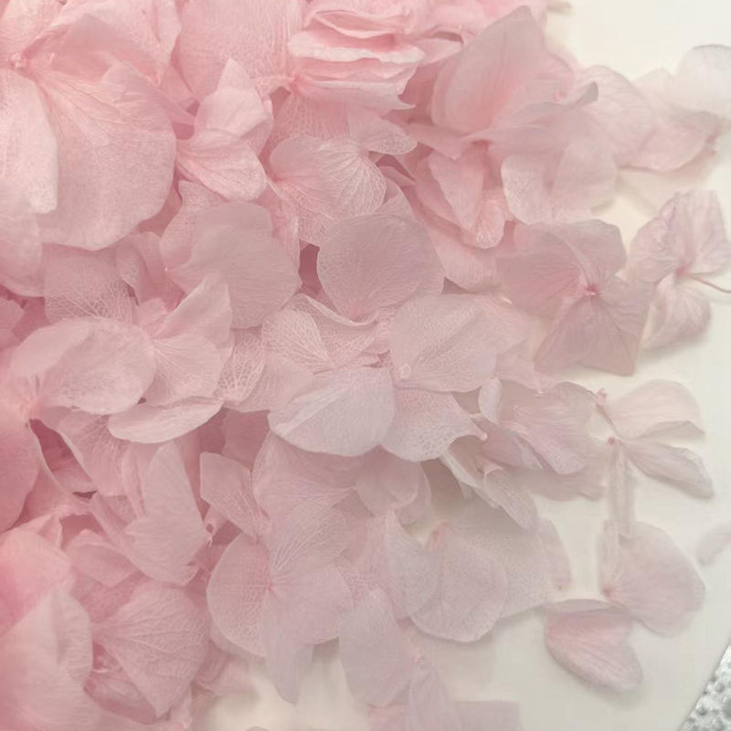 100% Biodegradable Eco-friendly Wedding Confetti Beautiful Real Dried ...