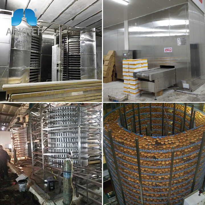 ARKREF Industrial IQF Spiral Blast Freezer for Sale