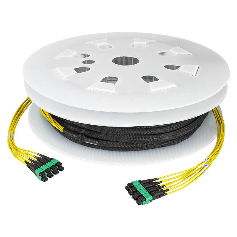 MPO/APC Single-Mode 10G 48/72/96/120-Core G657A MPO Fiber Optic Patch ...