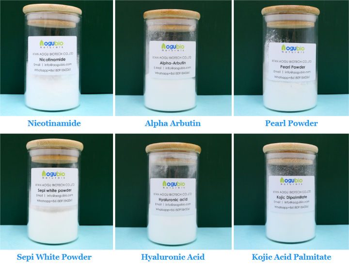 Aogubio Supply High Quality Sodium Propionate Powder Cosmetic Grade ...