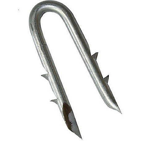 Clavos en U para alambre de púas galvanizados de hierro, cabeza Brad ...