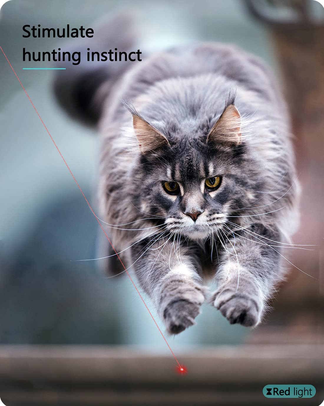 Laser Pointer Cat Toy Red Dot Led Light Pointer Interactive Toys Indoor ...