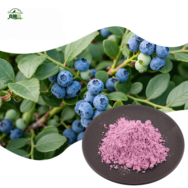 Natural Freeze Dried Wild Blueberry Powder Fruit Juice Concentrate ...