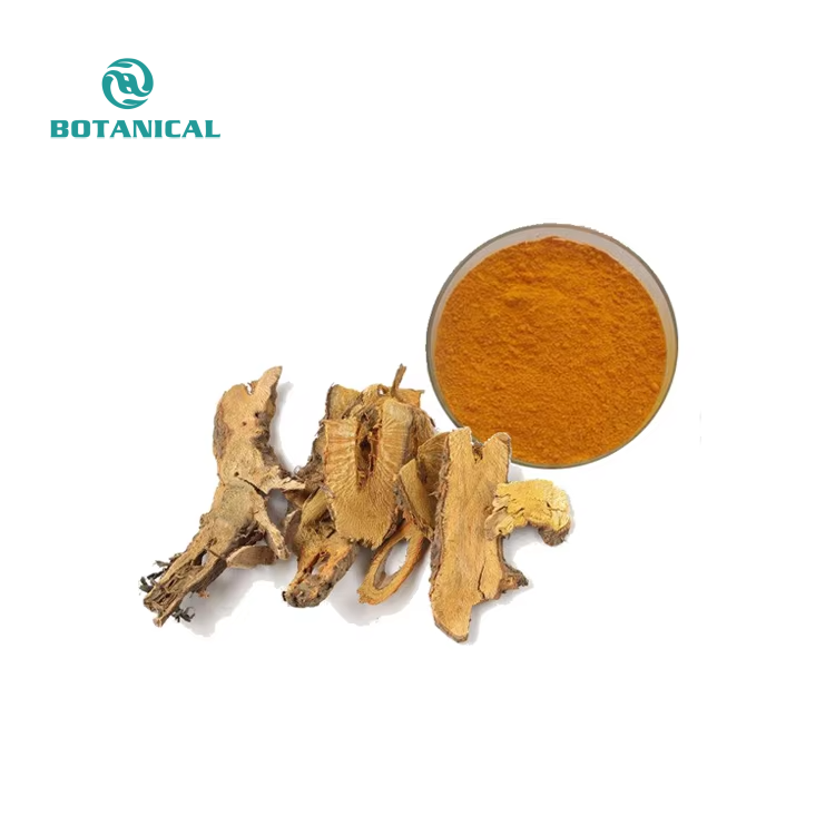 Wholesale Japanese Knotweed Powder Rich In Resveratrol Extract ...
