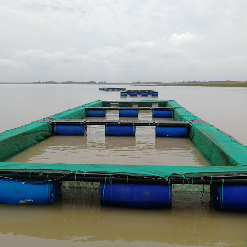 Aquaculture Square Fish Farming Cages Floating Net for Tilapia Catfish ...