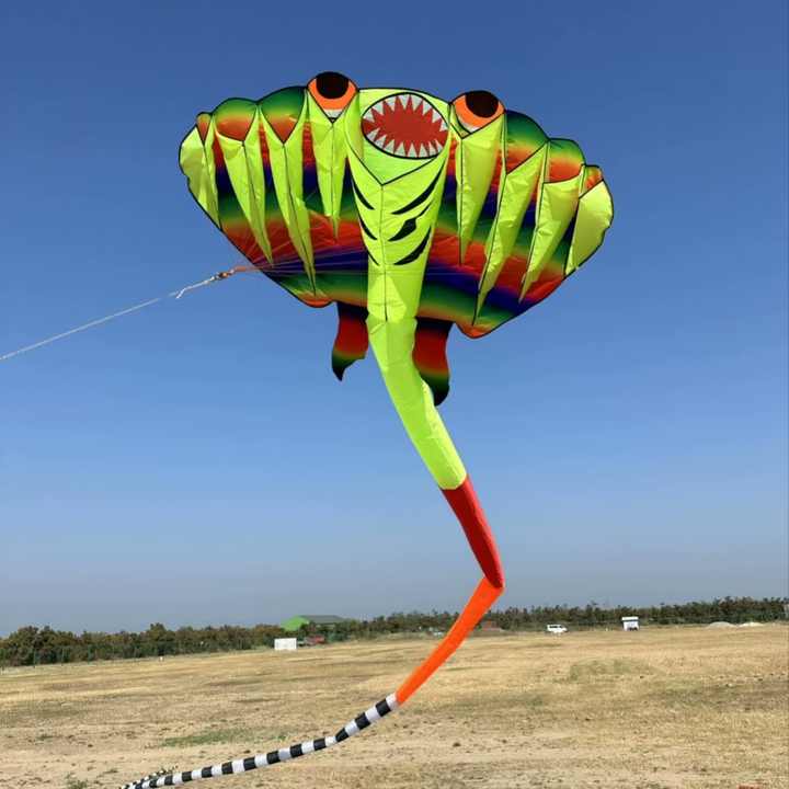 Soft 3D Kite Dual Color Light Soft Kite Waterproof and Tearproof ...