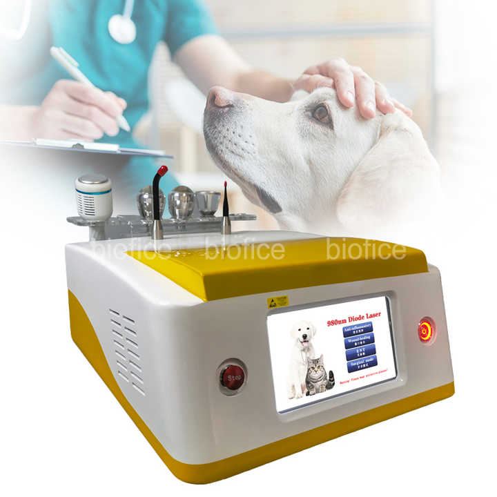 980 +1470 nm 3d Animation Laser Light Laser Therapy Device for Pets ...