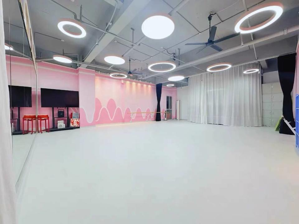 Professional Non-slip PVC Dance Flooring Roll for Indoor Ballet Studio ...