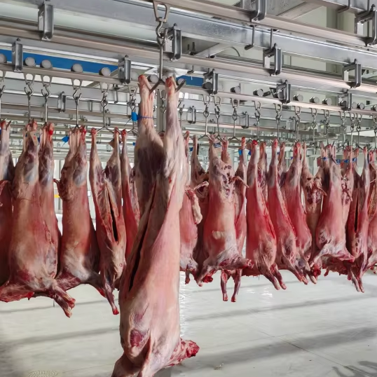 Halal Sheep Goat Slaughtering Line Automatic Lamb Abattoir Complete ...