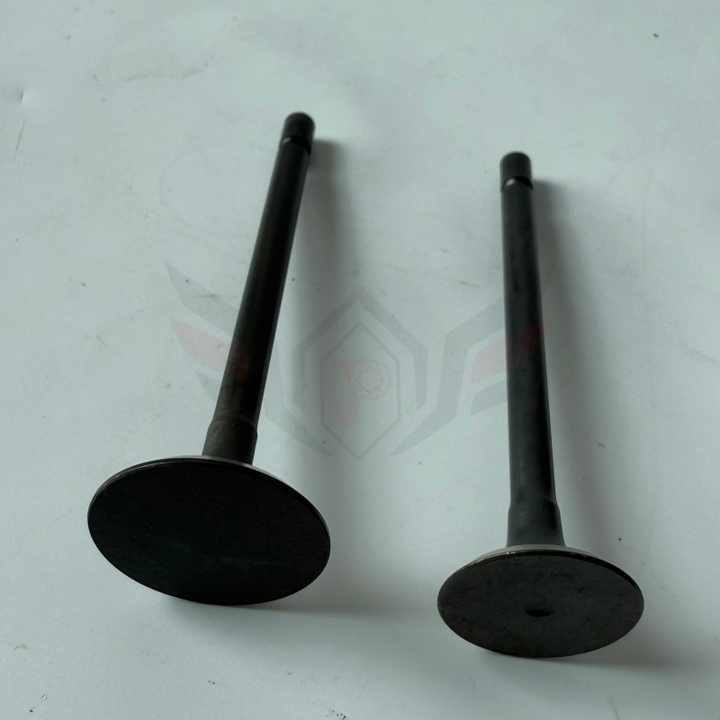 Car Intake Valve Exhaust Valve 22211-27000 22211-27001 22211-27900 ...