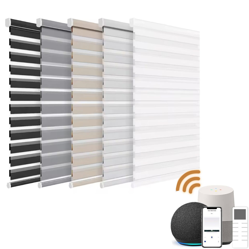 Motorized Double-Layer Blackout Roller Blinds Alexa Smart Electric ...