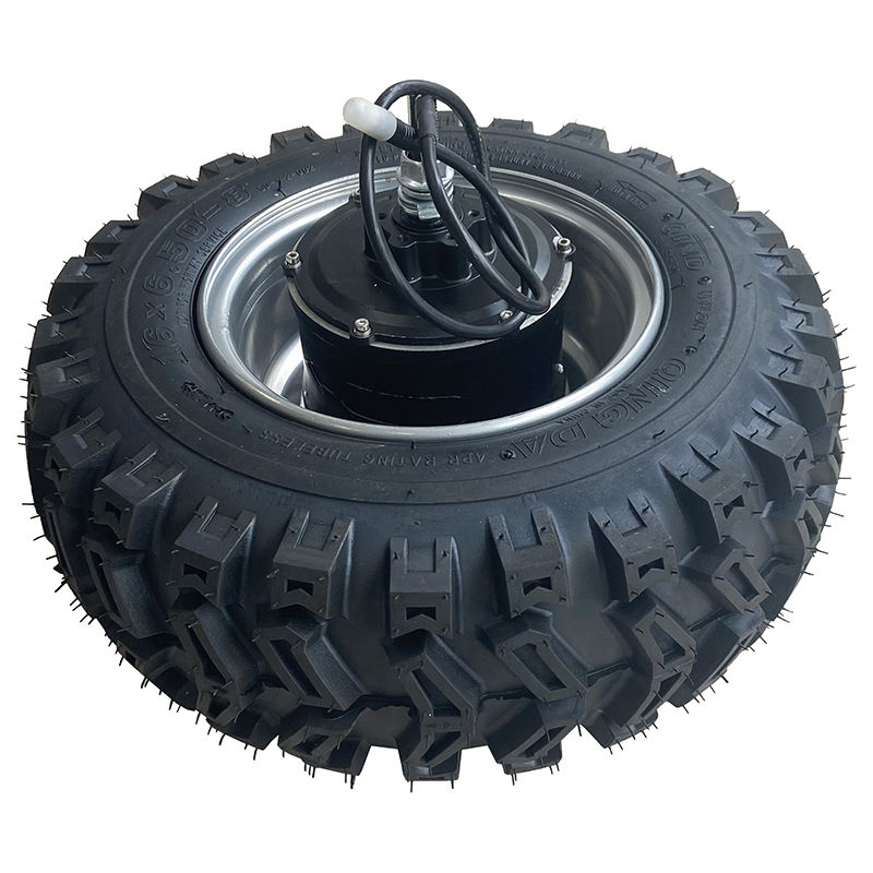 130Nm 16 Inch Brushless Hub Motor 1000W Single Shaft with Off-road Tire ...