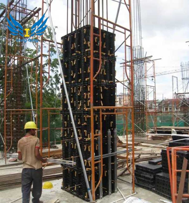 Lianggong Adjustable PP Plastic Formwork Panel Modern Design Column ...