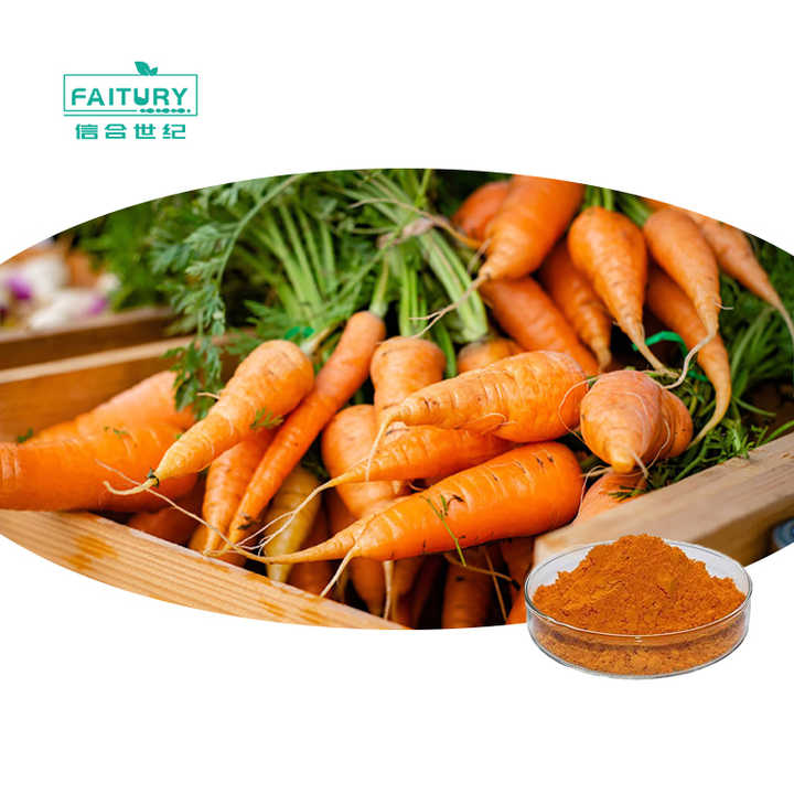 Faitury Wholesale Freeze Dried Vegetable Powder Organic Carrot Juice ...