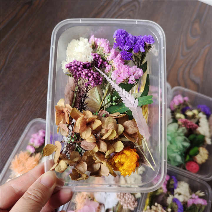 Hot Sale Mix Dried Flower Box DIY Scattered Eternal Life Flower ...