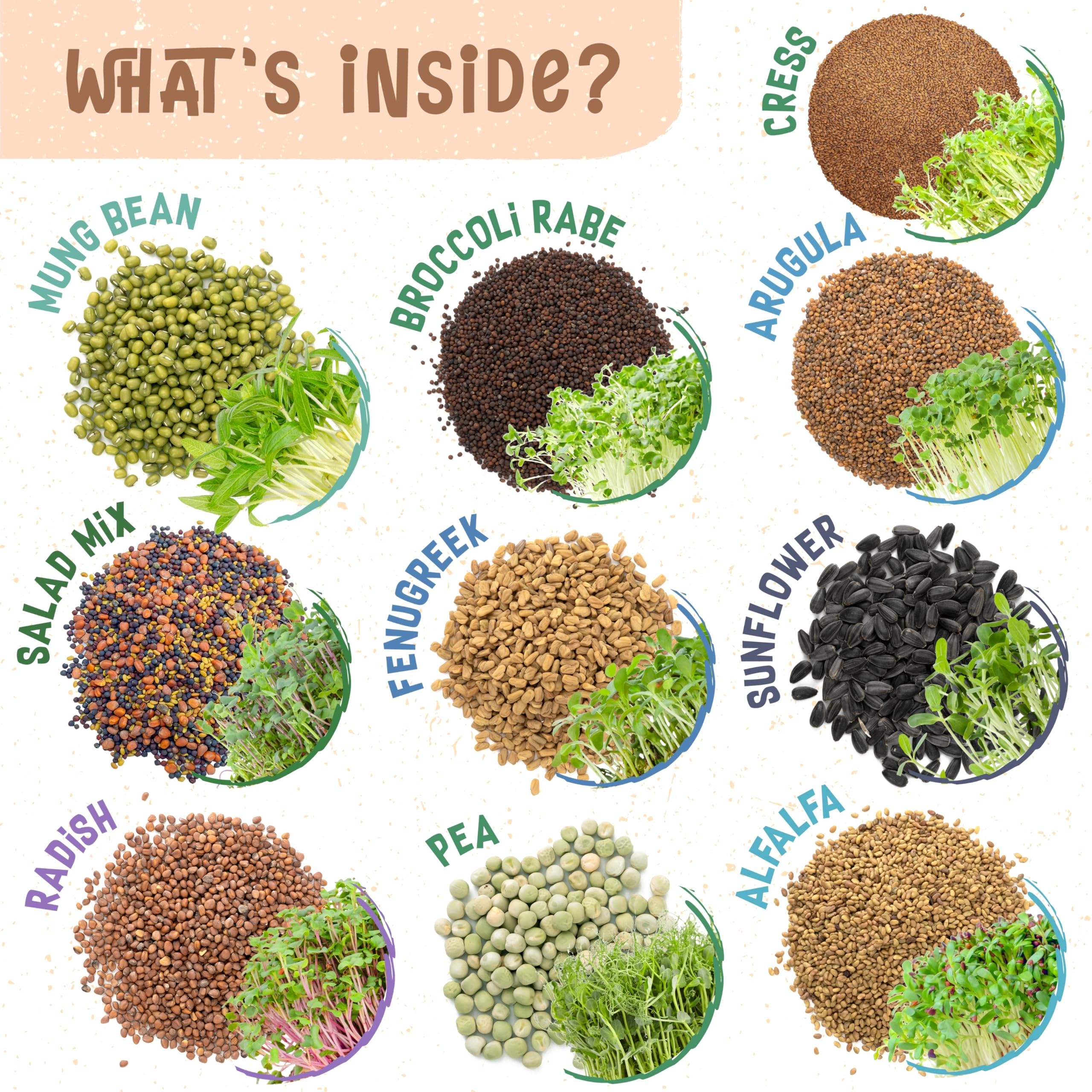 How to Choose the Best Plant Seeds for Children: A Complete Buying Guide