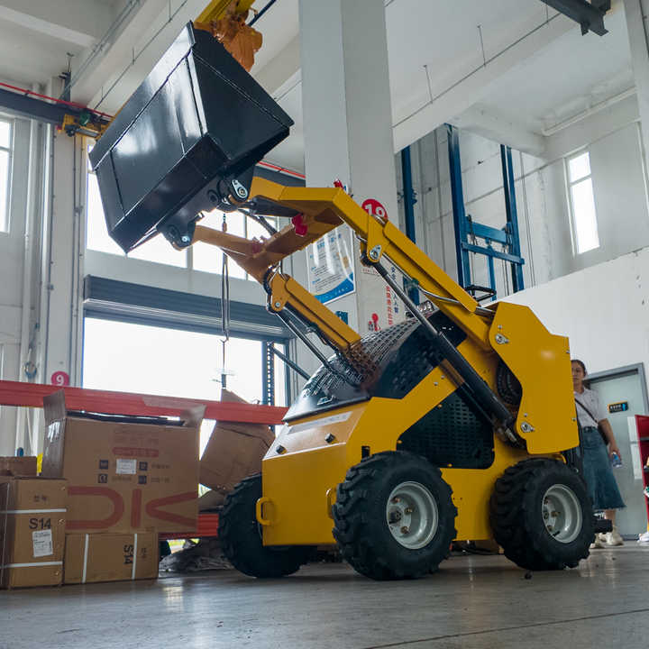 Custom Heavy-Duty Skip Steer Loader for USA/Europe - OEM/Wholesale ...
