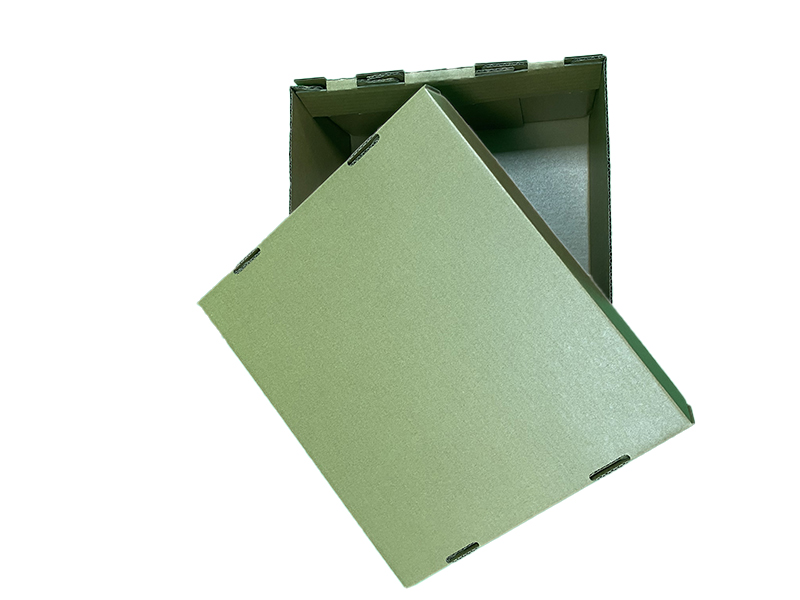 Boxes for Frozen Meat - Durable and Efficient Packaging