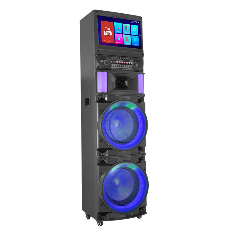 Dual 12 Inches Big Power Karaoke Speaker with Screen All-in-One Mobile ...