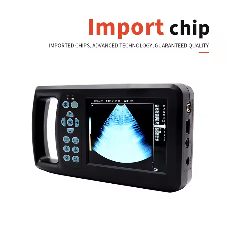 Portable Veterinary Instrument Animal Ultrasonic Scanner Pig Sheep ...