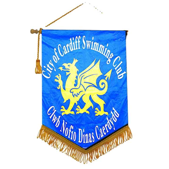 Custom Logo Exchange Flags - Perfect for Sports & Clubs