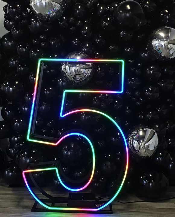 LED RGB Neon Marquee Light Frame for Party & Wedding Decorations - OEM