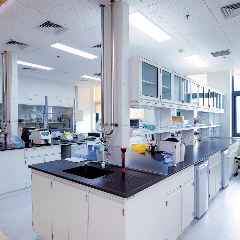 Biological Workbench with Chemical-Resistant Epoxy Resin Integrated ...