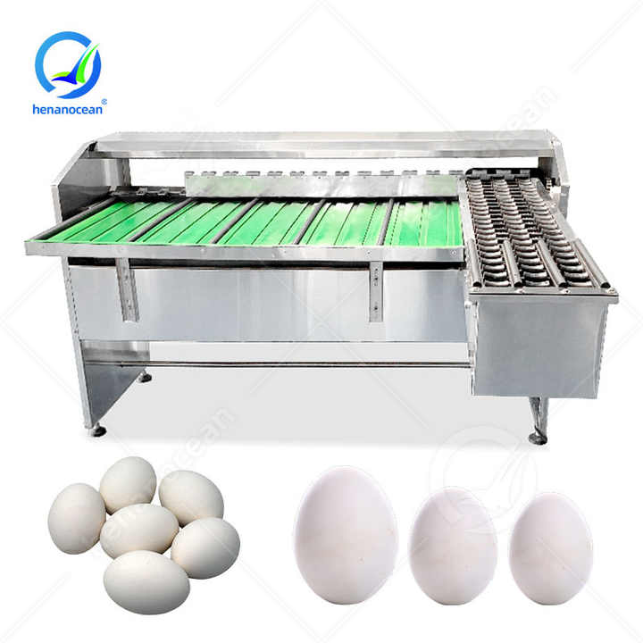 OCEAN Small Automatic Weight Size Sorting Chicken Egg Grading Machine ...