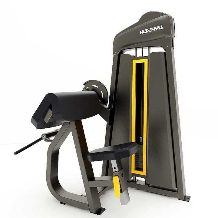 Professional Biceps Curl Machine Pin Loaded Arm Training Equipment ...