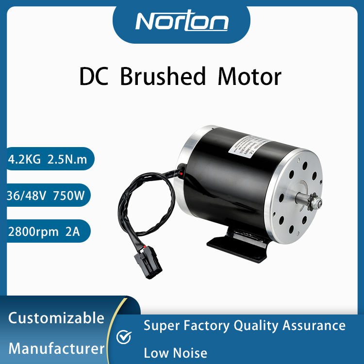 ZY1020 800W DC Brushed Motor, 36V/48V, 3500rpm for Electric Vehicles ...