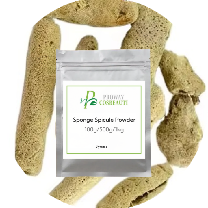 OEM Sponge Spicule Therapy Bio Microneeding Powder Acne Treatment ...