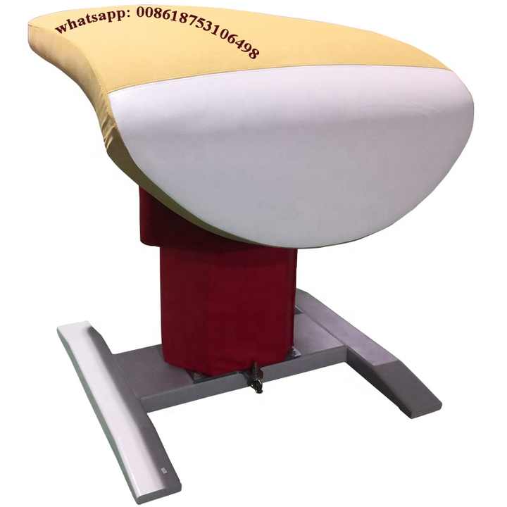 Professional Gymnastics Vaulting Table - Silver Vaulting Horse