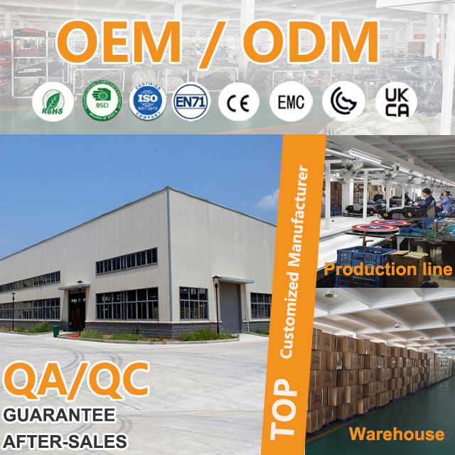 4 in 1 Chinese Supplier New Model OEM Customized Frame French Logo ...