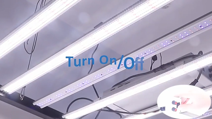 800W-1200W Full Spectrum LED Grow Light Bar LM301B LM301H EVO 660nm ...