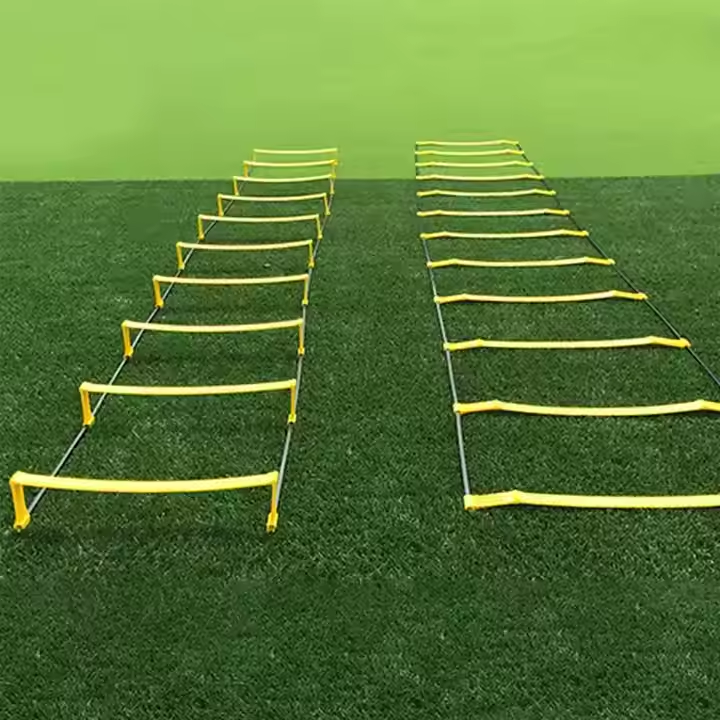 Wholesale 6/8/10/12 Level Two-in-one Agile Ladders, Football Speed ...