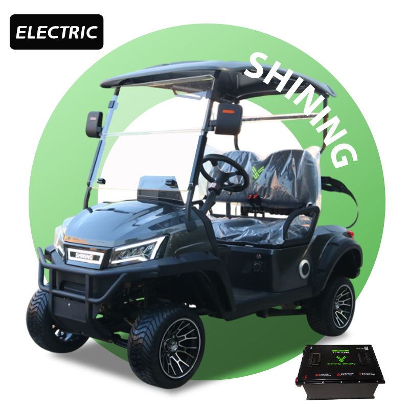 How to Choose the Best Golf Buggy Electric Cart: A Complete Buyer's Guide
