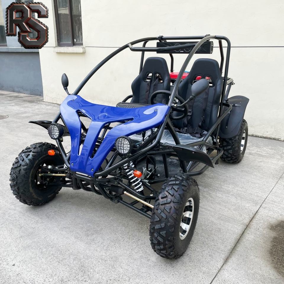 Raxen Gas Engine 200cc Go Karts for Sale Roll Cage for Weekend Off-road ...