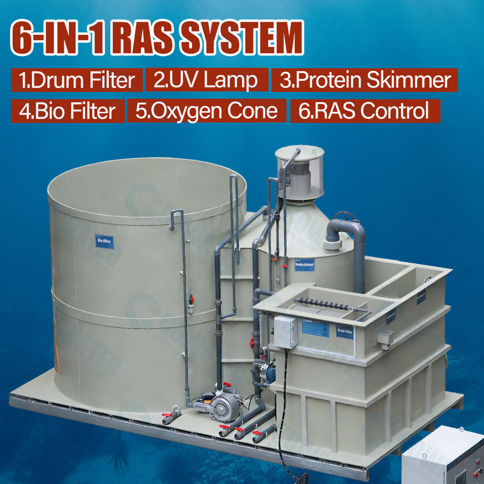 Cowater RAS System 20 M3/h - UV Biofiltration for Indoor Fish Farming