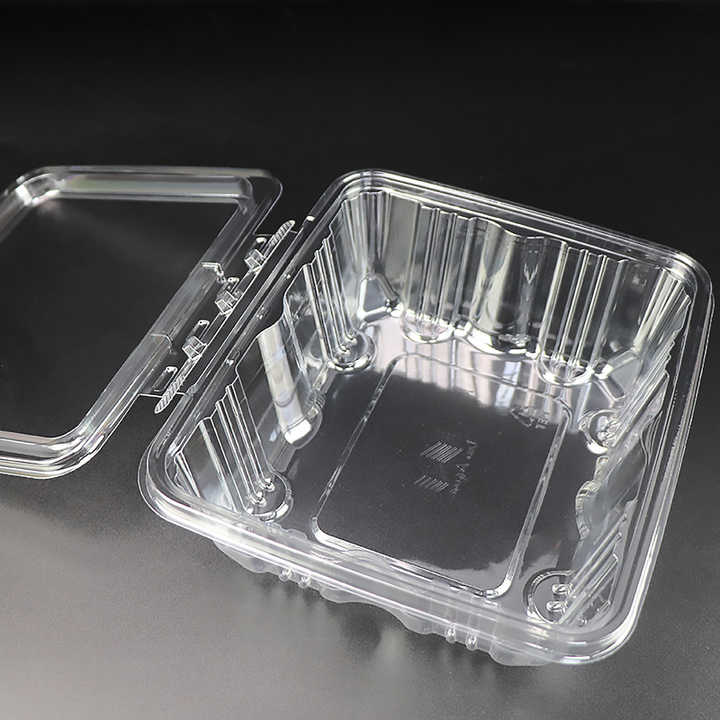 Tamper Proof Plastic Hinged Container - PET Food Packaging