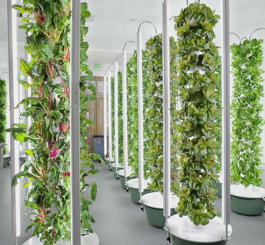 Column Hydroponic Aeroponic Systems for Greenhouse Planting