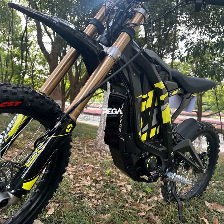 2025 Surround Ebike Light Bee X Electric Off Road Dirt Bike 60v 75KM/H ...