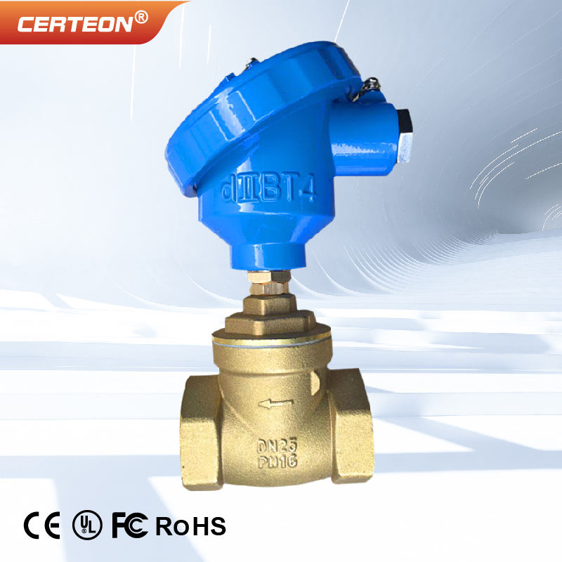 Explosion Proof Brass Paddle Flow Switch DN15 DN50 Inline Sensor ...