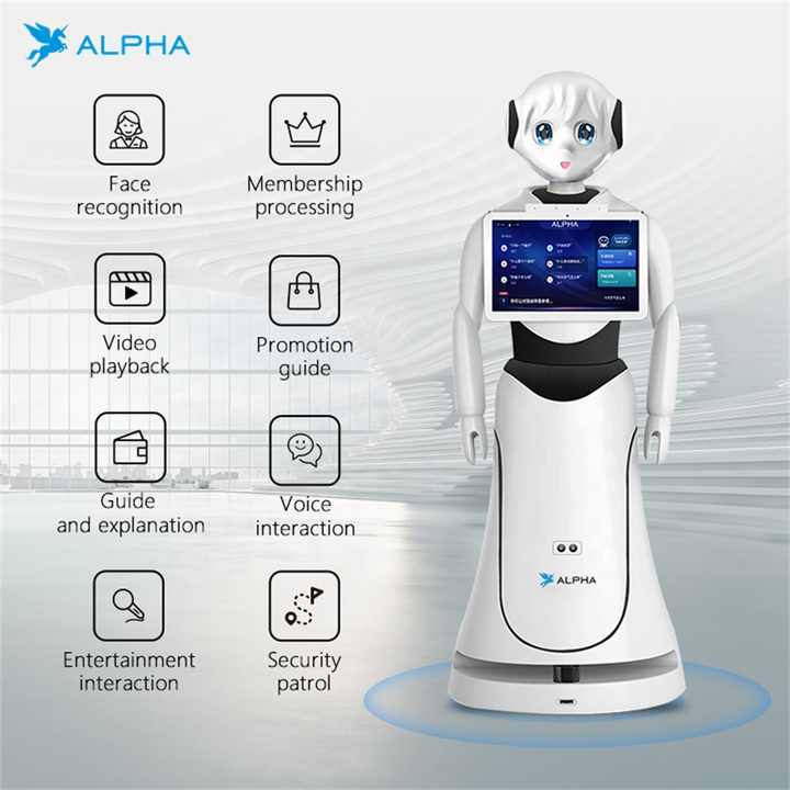 Alpha Robotics Alice Programmable Humanoid Welcom Robot for Reception ...
